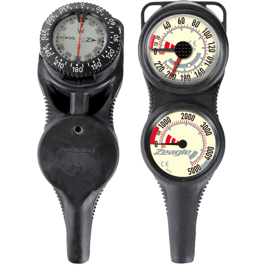 Gauges and Instruments – COMPASS Division